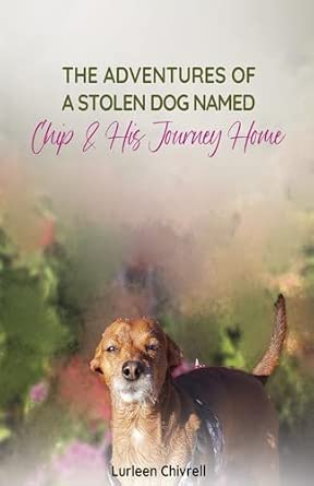 Amazon.com: The Adventures of a Stolen Dog named Chip and his Journey ...