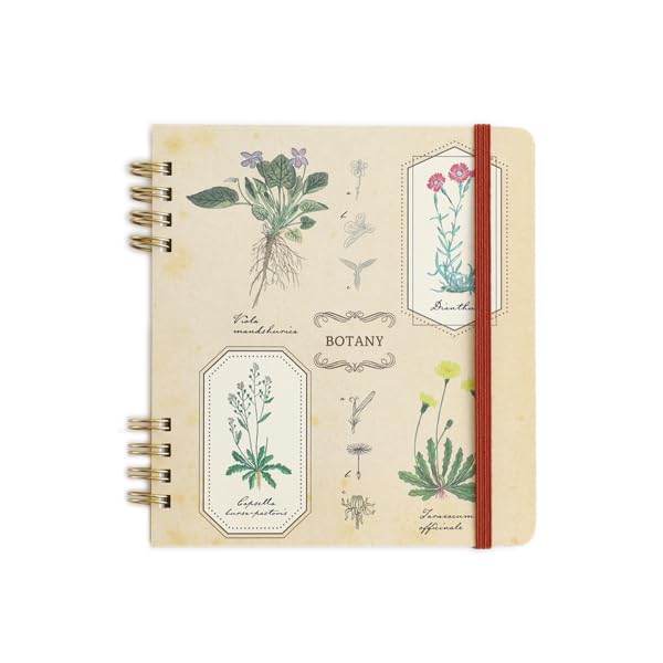 Amazon | グリーンフラッシュ ノート STUDY HOLIC リングノート・スクエア 植物学 ST-272 | ノート | 文房具・オフィス用品