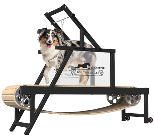 Amazon Best Sellers: Best Dog Treadmills
