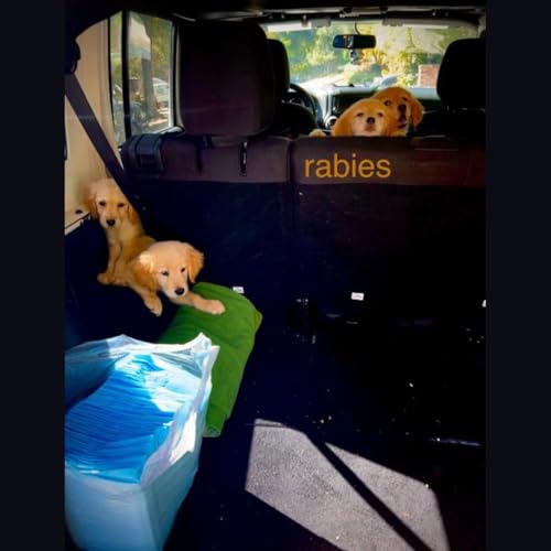 Rabies by Davis Vaughn feat. Drake Vaughn on Prime Music
