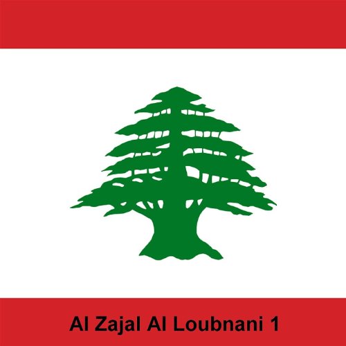 Amazon.com: Al Zajal Al Loubnani 1 : VARIOUS ARTISTS: Digital Music