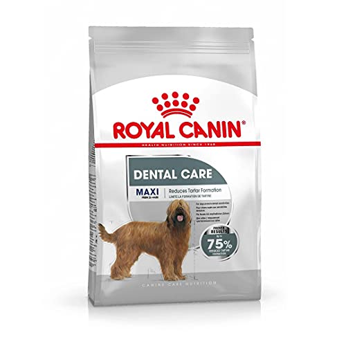 Royal Canin Dental – Die 16 besten Produkte im Vergleich ...