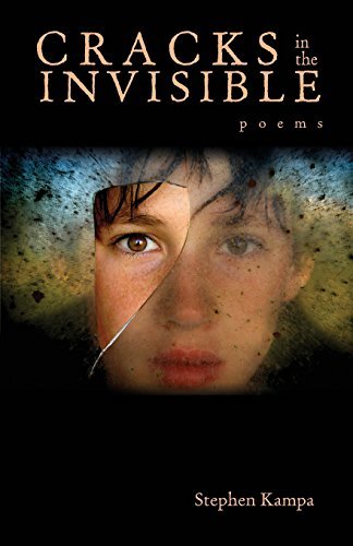 Amazon.com: Cracks in the Invisible: Poems (Hollis Summers Poetry Prize ...