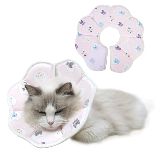 Cat Cone Collar – The 15 best products compared - Wild Explained
