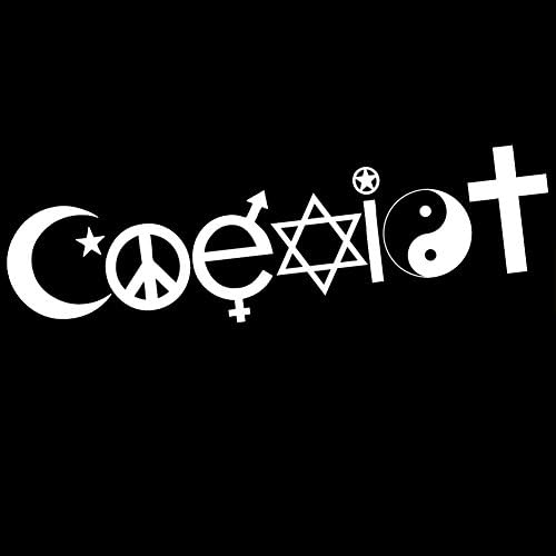 Amazon.com: Coexist Peace Religion Sticker Decal Notebook Car Laptop 8 ...
