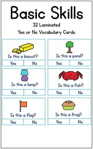 Amazon.com: Educator Yes or No Vocabulary Basic Skills Cards : Office ...