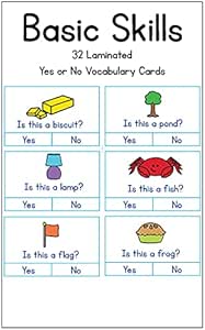 Amazon.com: Educator Yes or No Vocabulary Basic Skills Cards : Office Products