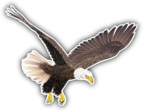 Amazon.com - DG Graphics Bald Eagle Art Decor 5'' x 4'' Vinyl Decal ...