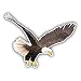 Amazon.com - DG Graphics Bald Eagle Art Decor 5'' x 4'' Vinyl Decal ...