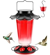 Amazon.com : HouseSapp Solar Hummingbird Feeder - 49 fl.oz Hand Blown ...
