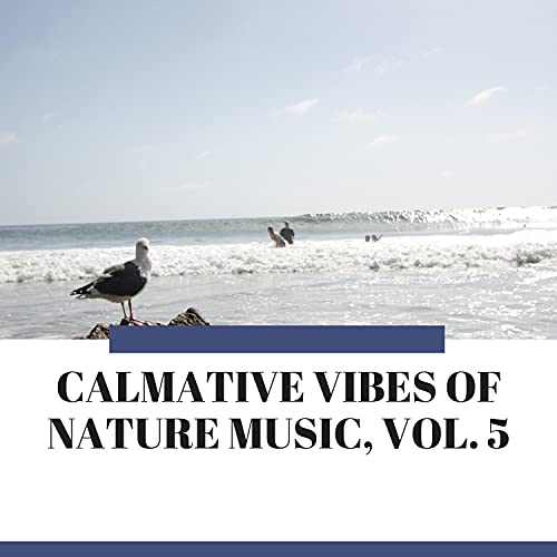 Calmative Vibes of Nature Music, Vol. 5 de VARIOUS ARTISTS en Amazon ...