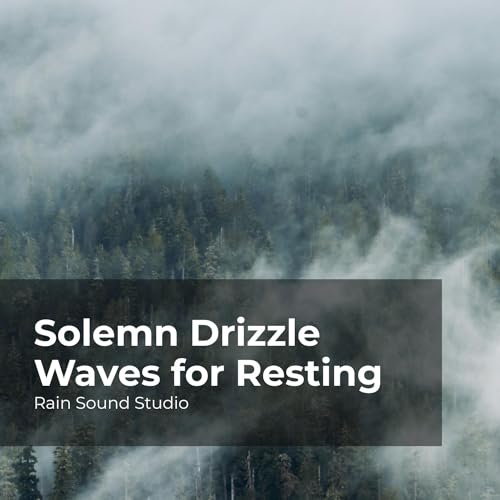 Amazon Music - The Rain LibraryのSolemn Drizzle Waves for Resting - Amazon.co.jp