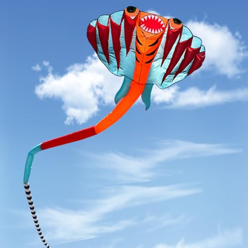Amazon Best Sellers: Best Kites