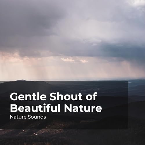 Play Gentle Shout of Beautiful Nature by 自然音, Sleep Sounds of Nature ...