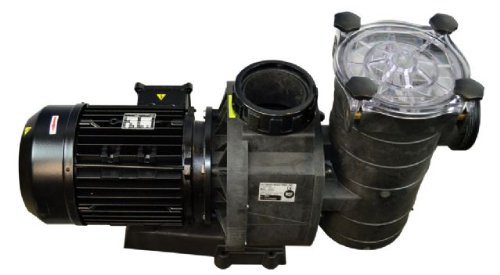 Hayward HCP100 10 HP Commercial HCP Series Thermoplastic Self-Priming ...