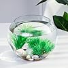 Amazon.com : GANAZONO Office Decor Glass Vase Glass Fish Bowl Clear Terrarium Globe Flower Vase ...