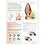 The Anatomy of the Canine Ear Poster/Chart, 24x60 cm, 18x24 inches, Dog ...
