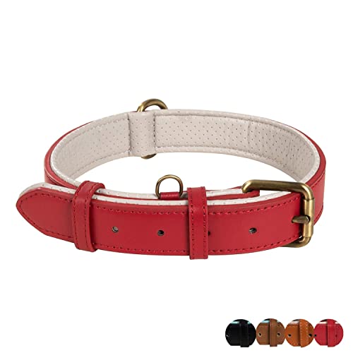 10 Best Leather Dog Belts for the Perfect Combo of Style and Comfort ...