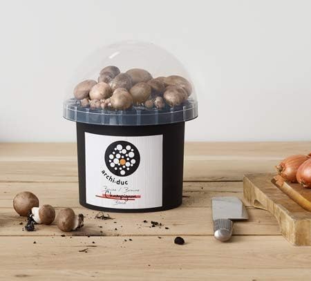 Carbeth Plants Mushroom Growing Kit - Brown Button Mushroom Grow Kit ...
