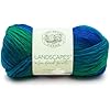Amazon.com: Lion Brand Yarn Landscapes Yarn, Multicolor Yarn for ...