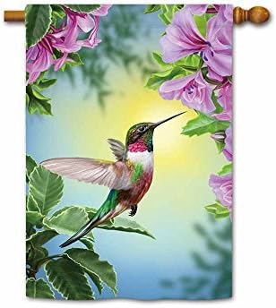 Amazon.com : Spring Summer House Flag 28x40 Inch Double Sided, Welcome ...