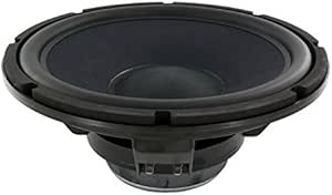 Beyma 12BR70 Enceinte 125 W RMS 8 ohms : Amazon.fr: High-Tech