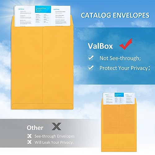 Snapklik.com : ValBox 6x9 Self Seal Catalog Security Envelopes 250 ...