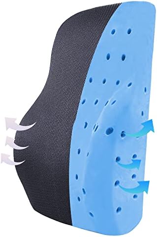 FOVERA Lumbar Support for Chair, Orthopedic Back Support Memory Foam ...