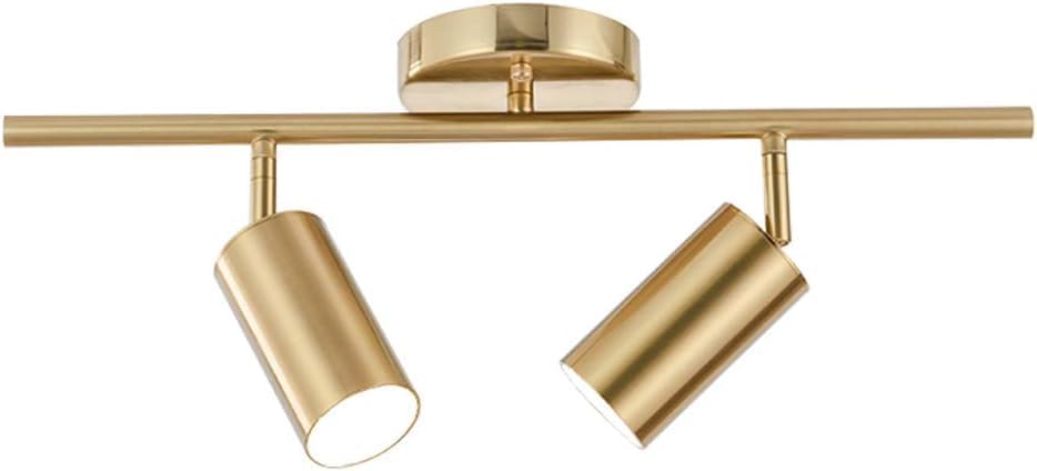 CRAFTRONOS 3 Light Track Lighting Kit, Matte Brass Finish Adjustable ...