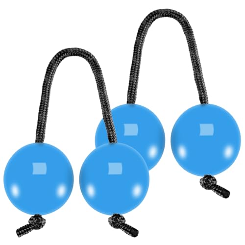 Amazon Best Sellers: Best Hand Percussion Shakers