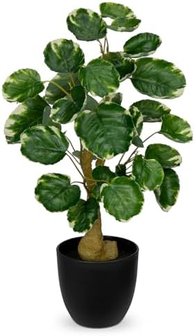 Amazon.com: 18 Inch Fake Money Tree Plant Indoor Potted Plants ...