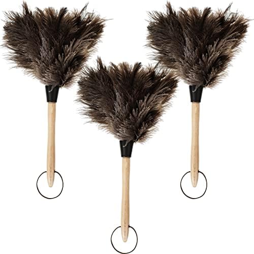 Amazon.com: Zhehao 3 Pack Ostrich Feather Duster 15 Inch Fluffy Ostrich ...