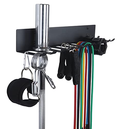 Best Strength Training Free-Weight Racks for an Effective Home Gym ...