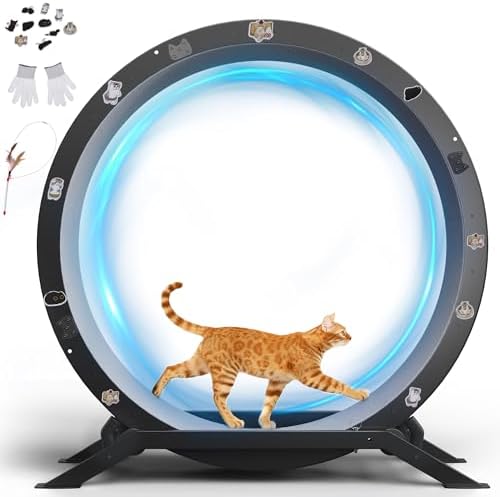 Amazon.com: GTRACING Cat Wheels, 40" Diameter, Large Cat Exercise Wheel ...