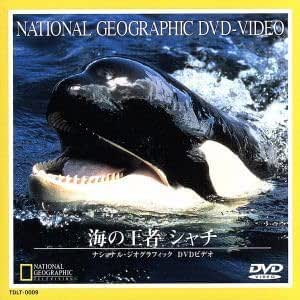 Amazon.co.jp: National Geographic King of the Sea Orca Whale ...