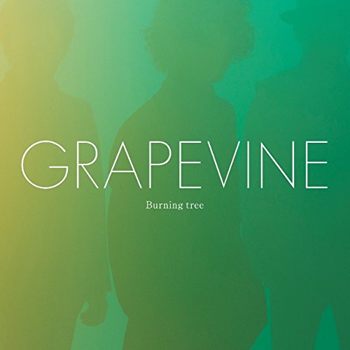 GRAPEVINE - Burning Tree (Normal Edition) - Amazon.com Music