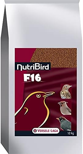 Nutribird F16 Starlings Thrushes & Blackbirds 10kg : Amazon.co.uk: Pet ...