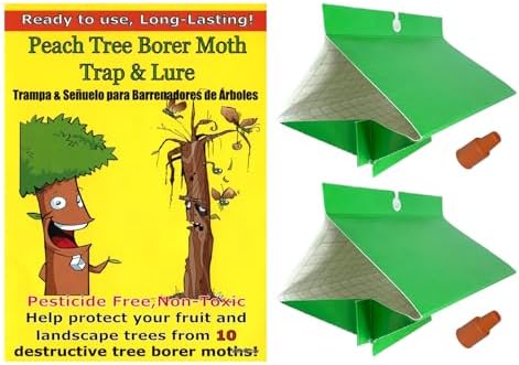 Amazon.com : VivaTrap VT-100 Squash Vine Borer Moth Trap & Lure (2 Pack ...