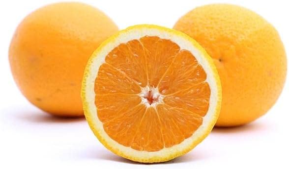 Amazon.com: Texas Grown Fresh Sweet Orange - Texas Sweet Navel Oranges ...