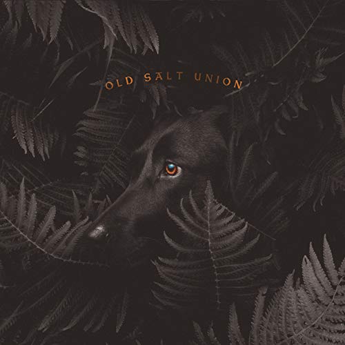 Amazon MusicでOld Salt UnionのWhere The Dogs Don't Biteを再生する