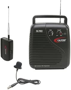 Amazon.com: PA Pro Wireless Portable Sound System : Musical Instruments