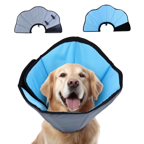 Comfy Cone for Dogs – The 15 best products compared - Wild Explained