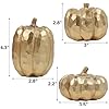 Amazon.com: winemana 3 Pack Gold Pumpkins Thanksgiving Decorations ...