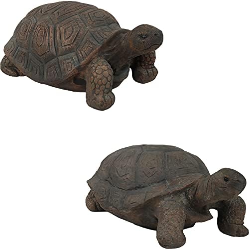 Amazon.com: Sunnydaze 30-Inch-Long Todd The Tortoise and 20-Inch Long ...