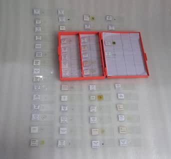 Permanent Prepared Microscope Slides (Set of 100 pc) Including Animal ...