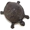 Amazon.com: Gifts & Decor Garden Decoration Turtle Cast Iron Key Hider ...