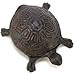 Amazon.com: Gifts & Decor Garden Decoration Turtle Cast Iron Key Hider ...
