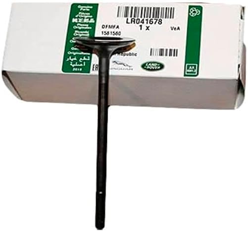 Amazon.com: INTAKE VALVE RR SPORT LR4 RANGE DISCOVERY 3.0L V6 LR041678 ...