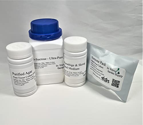 Top 10 Plant Tissue Culture Kit of 2022 - Katynel