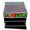 EFFIMAX SOLAR Mini Solar Dryer for Drying Food, Fruits & Vegetables | 2 ...